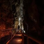 From Auckland: Waitomo Caves and Kiwi House Group Tour - What’s Included and What You Should Budget For