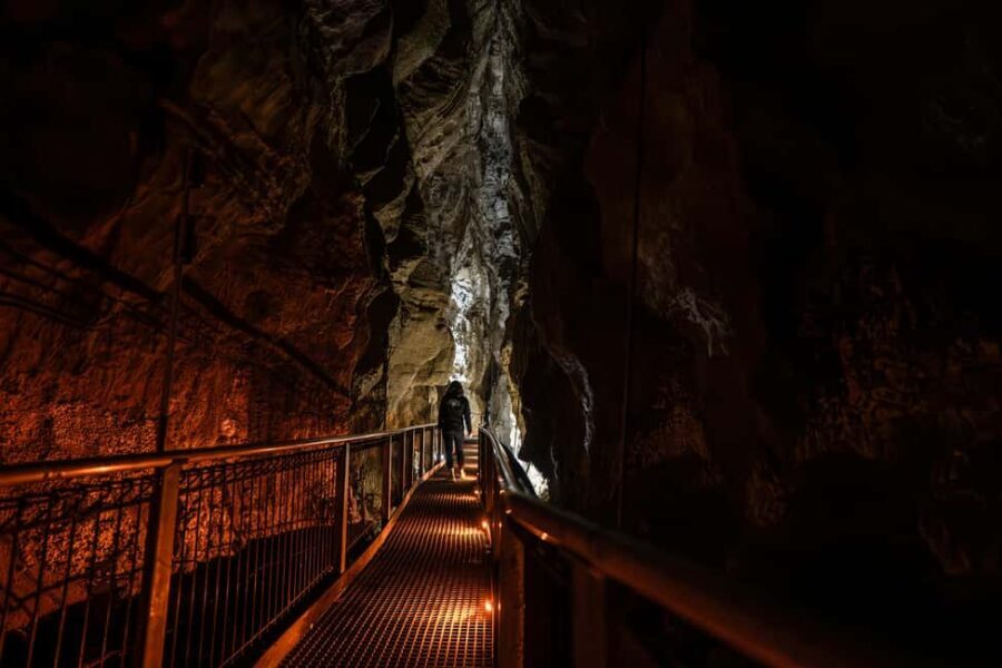 From Auckland: Waitomo Caves and Kiwi House Group Tour - What’s Included and What You Should Budget For