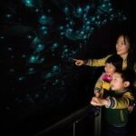 From Auckland: Waitomo Caves and Kiwi House Small Group Tour - What Makes This Tour Stand Out?