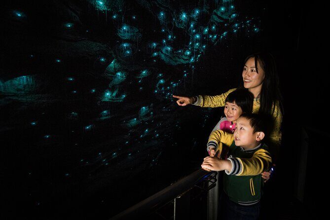 From Auckland: Waitomo Caves and Kiwi House Small Group Tour - What Makes This Tour Stand Out?