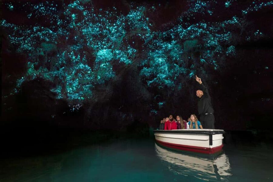 From Auckland: Waitomo Glow Worm Caves & Rotorua Tour - Exploring the Itinerary: What You’ll Really Experience