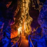 From Auckland: Waitomo Glowworm and Ruakuri Caves Day Tour - Practical Details and Logistics
