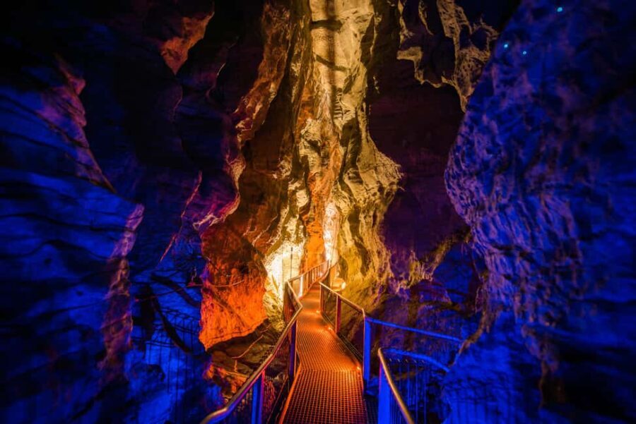 From Auckland: Waitomo Glowworm and Ruakuri Caves Day Tour - Practical Details and Logistics