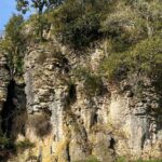 From Auckland: Waitomo Glowworm & Cave Explorer Small Group Tour - The Value Proposition