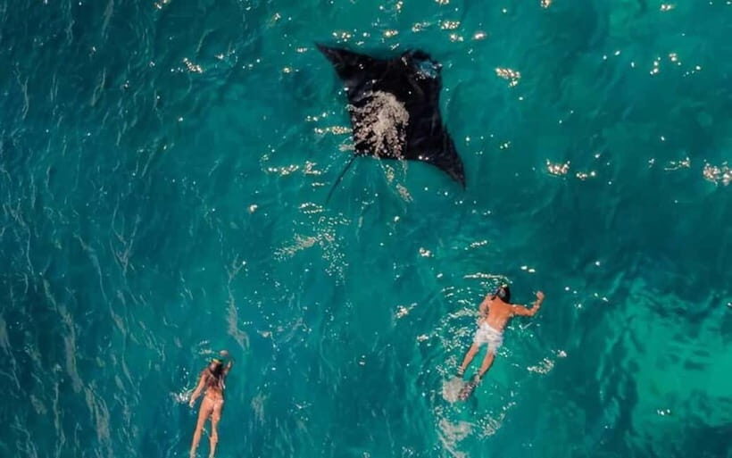 From Bali: Nusa Penida 3 Spots Snorkeling Tour With Guide - An In-Depth Look at the Tour