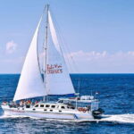 From Bali: Sail, Snorkel, & Mangrove Tours to Nusa Lembongan - Analyzing the Value