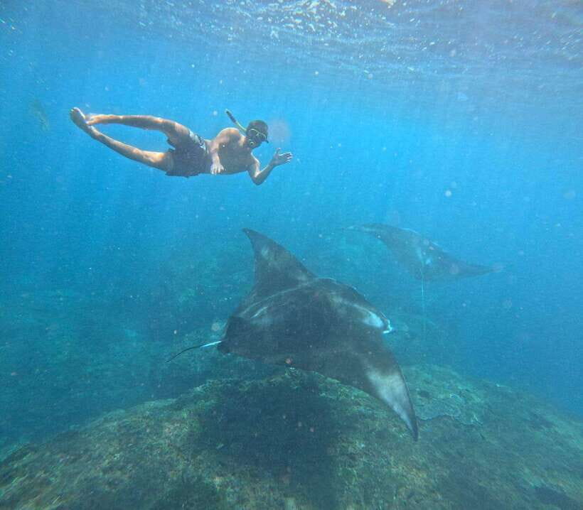 From Bali : Snorkeling & Nusa Penida Island Tour with Lunch - The Value Proposition