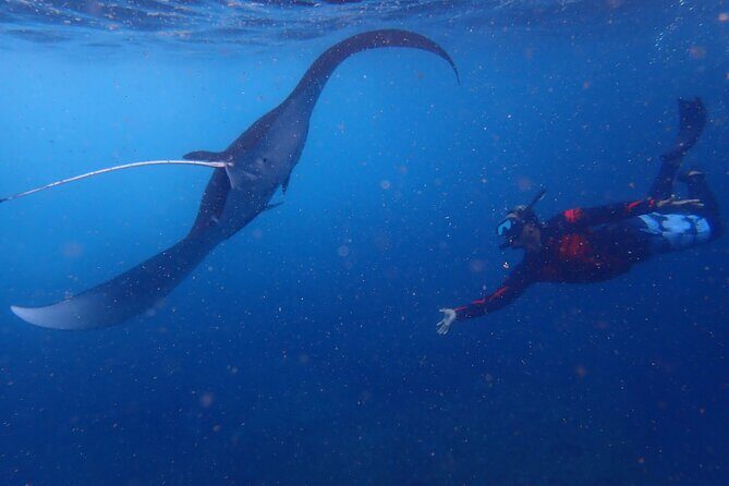 From Bali: Snorkeling Trip to Nusa Lembongan & nusa Penida island - How Does the Tour Really Stack Up?