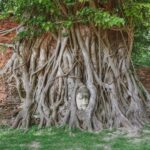 From Bangkok: Ayutthaya Day Tour by Bus with River Cruise - Practical Details & Tips
