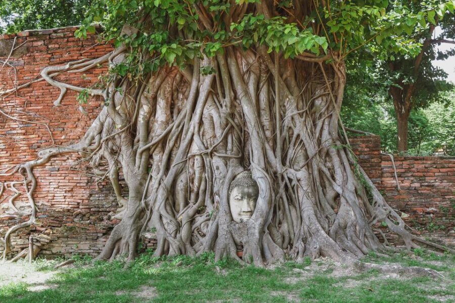From Bangkok: Ayutthaya Day Tour by Bus with River Cruise - Practical Details & Tips