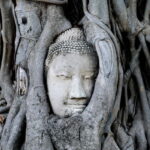 From Bangkok: Ayutthaya Heritage Tour with Sunset Boat Ride - Who Will Love This Tour?