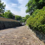 From Beppu: Kitsuki Castle Town and Samurai Heritage Tour - Final Thoughts