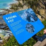 From Brisbane: Day Trip to Noosa, Glass House Mtns and Zoo - Practical Details and Value