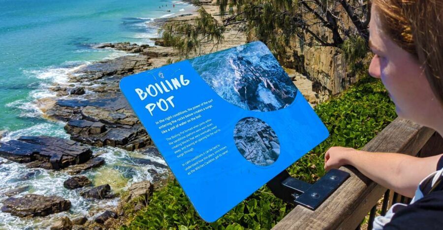 From Brisbane: Day Trip to Noosa, Glass House Mtns and Zoo - Practical Details and Value