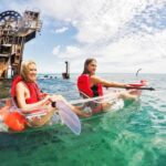 From Brisbane: Moreton Island Full-Day Trip - The True Value of the Experience
