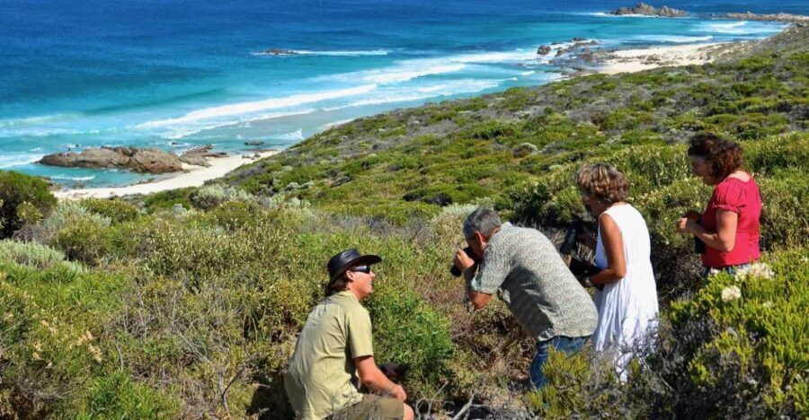 From Busselton: Half-Day Coastal and Wildlife Eco Tour - The Value of the Experience