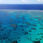 From Cairns: 40-Min Scenic Reef Window Seat Airplane Flight - Why This Flight Is a Great Choice