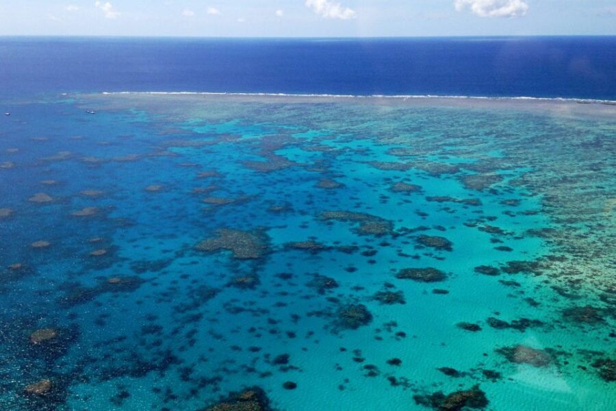 From Cairns: 40-Min Scenic Reef Window Seat Airplane Flight - Why This Flight Is a Great Choice