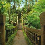 From Cairns: Atherton Tablelands and Paronella Park Day Trip - Who Will Love This Tour?