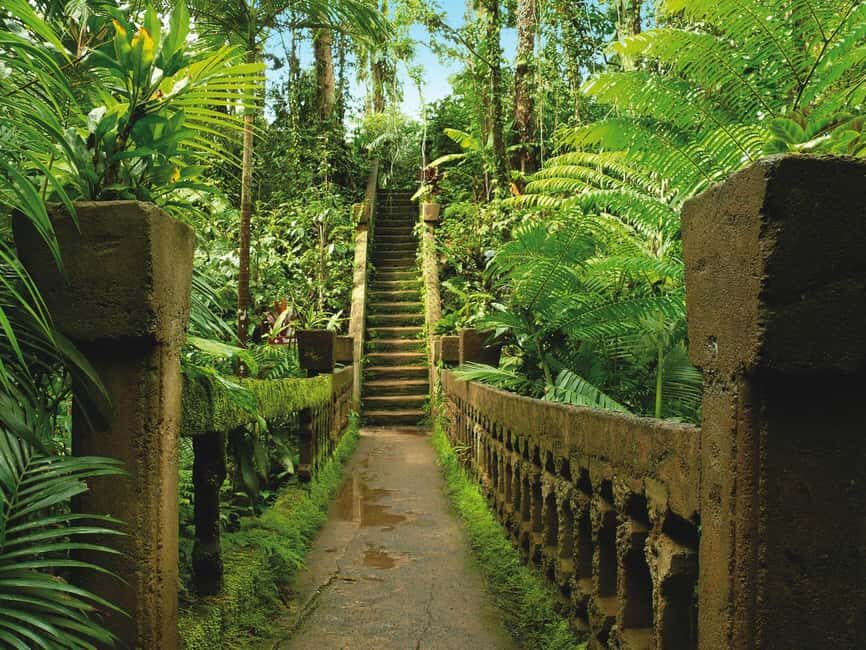 From Cairns: Atherton Tablelands and Paronella Park Day Trip - Who Will Love This Tour?