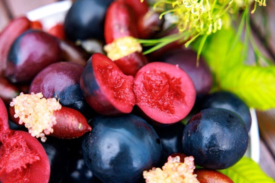From Cairns: Atherton Tablelands Food and Wine Tasting Tour - Final Thoughts: Is It Worth It?