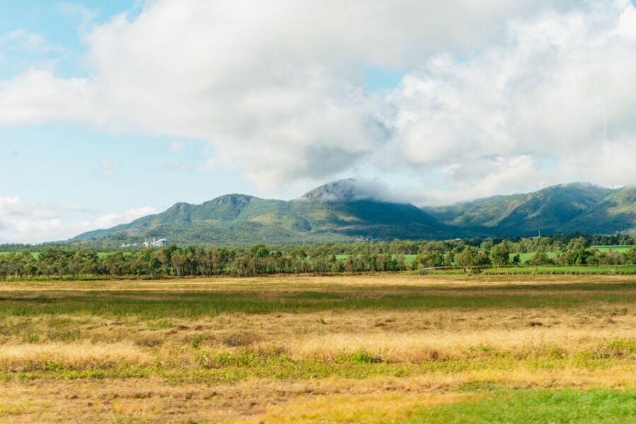 From Cairns: Chillagoe Caves and Outback Full-Day Tour - The Value of This Tour
