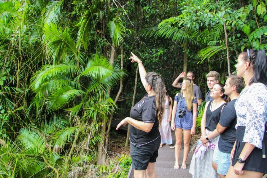 From Cairns: Daintree Wilderness & Cape Tribulation Bus Tour - The Experience & Its Value