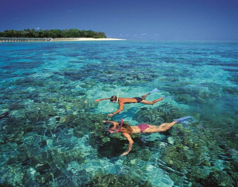 From Cairns: Full-Day Green Island Cruise - The Food and Amenities