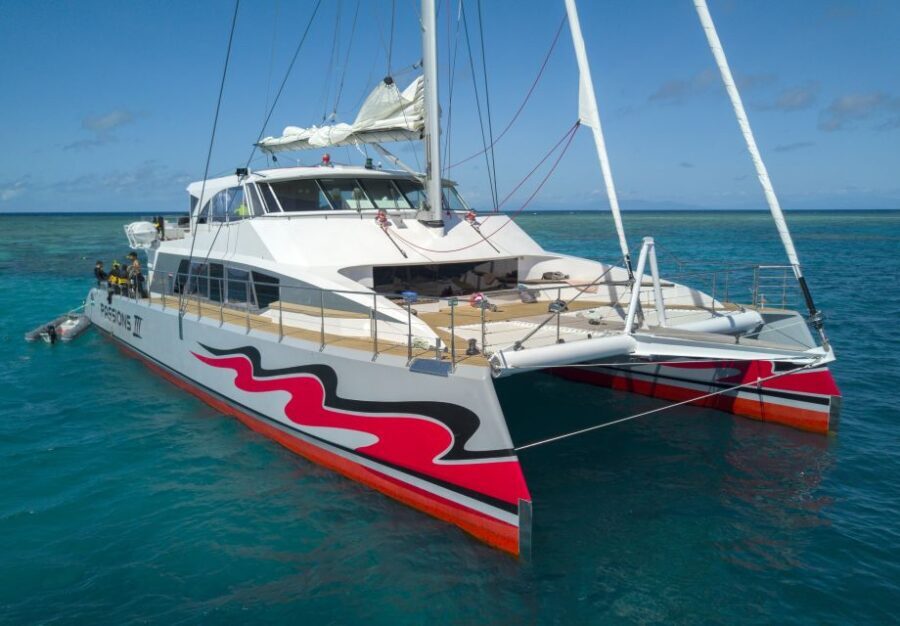 From Cairns: Great Barrier Reef Cruise by Premium Catamaran - The Value of This Reef Experience