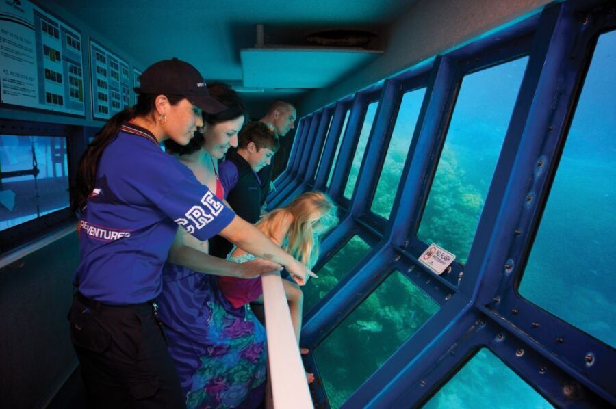 From Cairns: Great Barrier Reef Pontoon Experience - The Itinerary: What to Expect on the Day