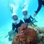 From Cairns: Green Island and Seawalker Helmet Dive Combo - What Makes This Tour Stand Out?