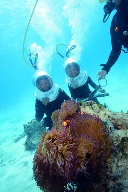 From Cairns: Green Island and Seawalker Helmet Dive Combo - What Makes This Tour Stand Out?