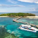 From Cairns: Green Island + Moore Reef Pontoon Combo - Who Would Love This Tour?