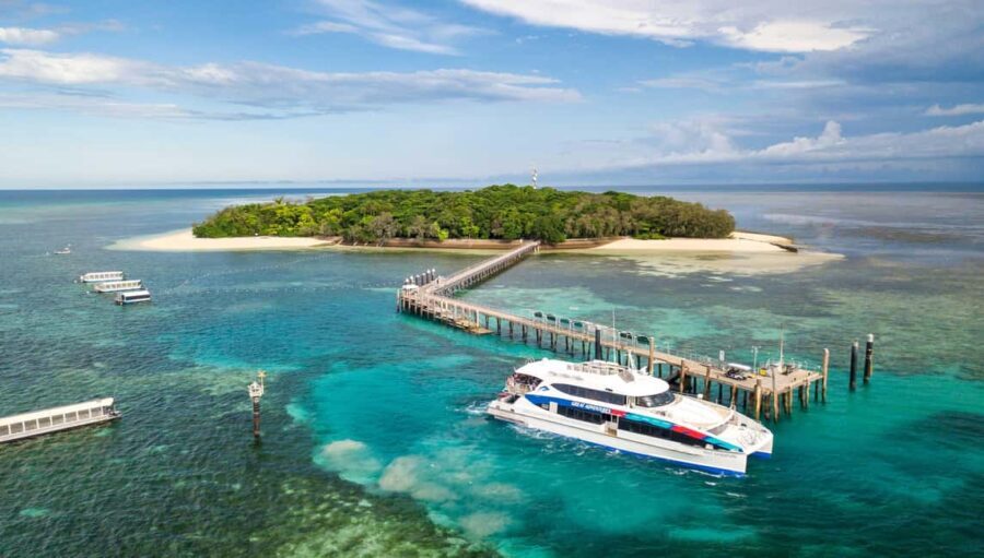 From Cairns: Green Island + Moore Reef Pontoon Combo - Who Would Love This Tour?