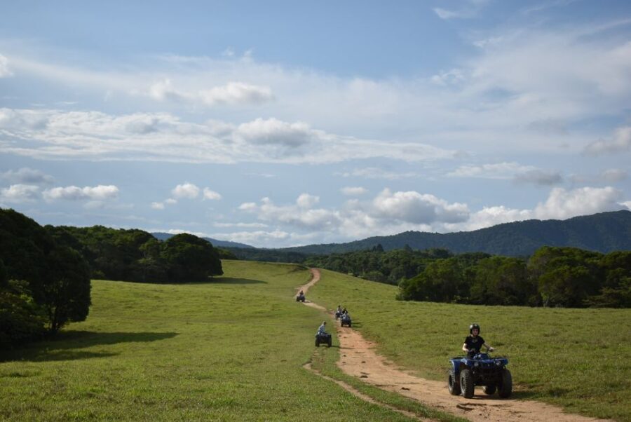 From Cairns: Kuranda Day Trip with Petting Zoo and Quad Ride - What Makes This Tour Stand Out