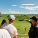 From Cairns: Waterfall Tour with Lunch - The Experience of a Guide-Led Day in the Rainforests