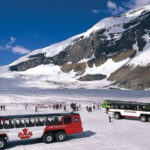 From CalgaryColumbia Icefield, Peyto & Bow Lakes Day Trip - Practical Tips for the Day