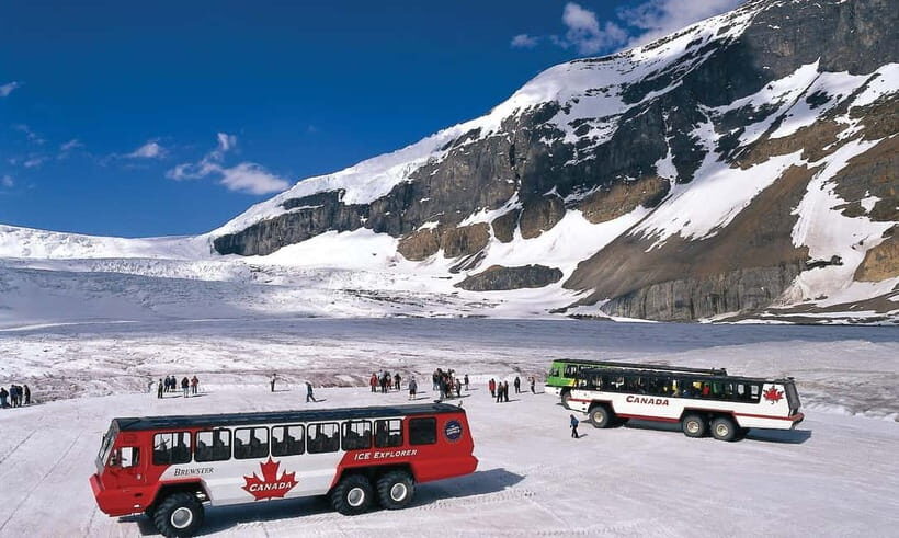 From CalgaryColumbia Icefield, Peyto & Bow Lakes Day Trip - Practical Tips for the Day