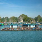 From Cat Ba: Lan Ha and Ha Long Bay Full Day Cruise - The Practicalities and What Sets This Tour Apart