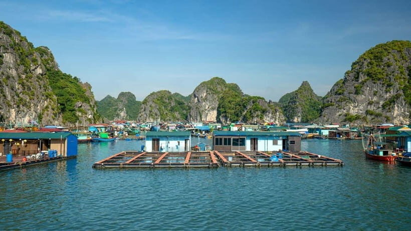 From Cat Ba: Lan Ha and Ha Long Bay Full Day Cruise - The Practicalities and What Sets This Tour Apart