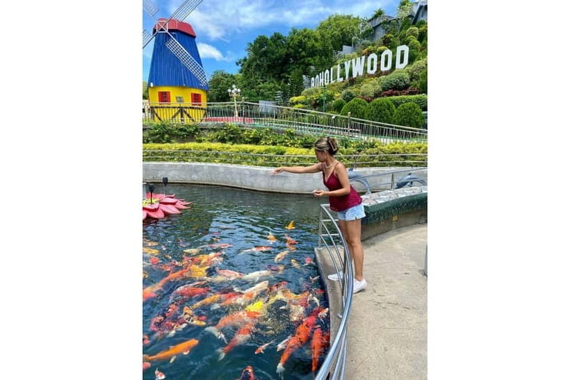 From Cebu:Bohol Bucket List Countryside Adventure with Lunch - The Itinerary in Detail: What You’ll Experience