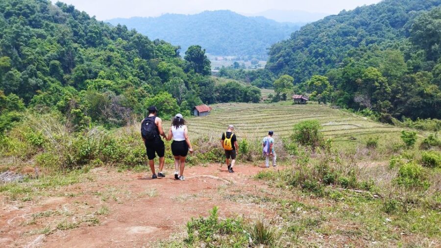 From Chiang Mai: Doi Inthanon National Park Hiking Tour - A Detailed Look at the Doi Inthanon Hiking Tour