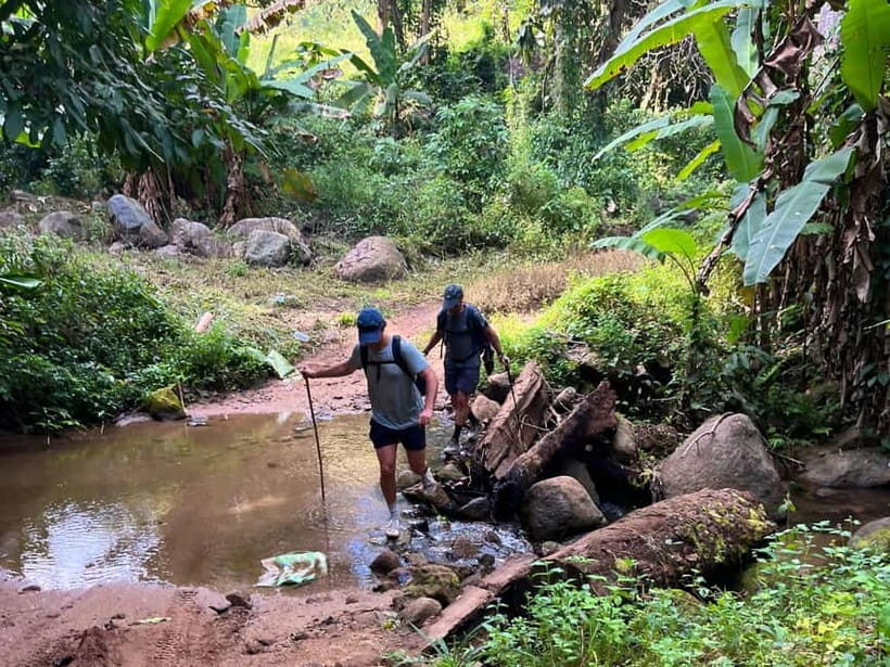 From Chiang Mai: High Mountain Day Trek - What Makes This Trek Stand Out?