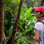 From Chiang Mai: Mae Taeng Valley Hike & Bike Day Trip - An In-Depth Look at the Mae Taeng Valley Experience