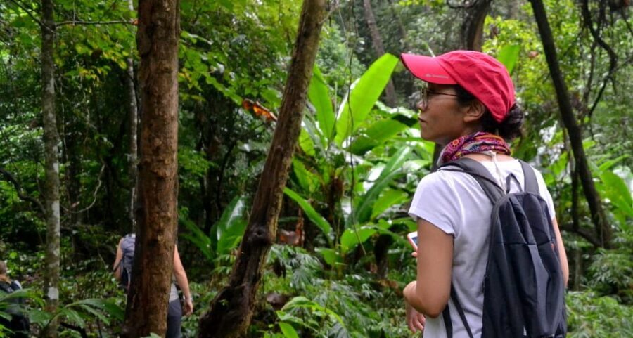 From Chiang Mai: Mae Taeng Valley Hike & Bike Day Trip - An In-Depth Look at the Mae Taeng Valley Experience