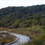 From Christchurch: 2 day tour to Queenstown via Franz Josef - What Makes This Tour Stand Out?