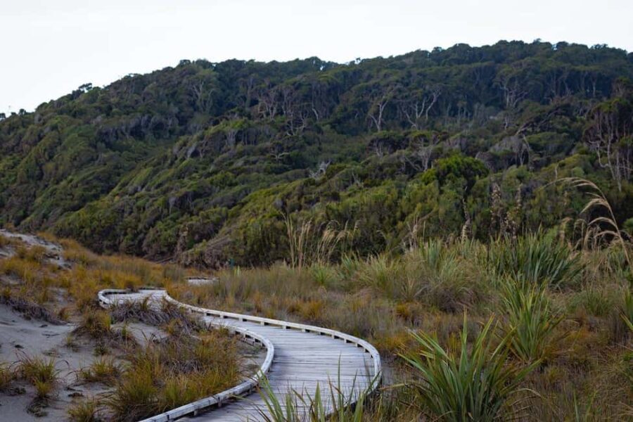 From Christchurch: 2 day tour to Queenstown via Franz Josef - What Makes This Tour Stand Out?