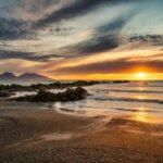 From Christchurch: Kaikura Day Tour With Whale Watching - What to Expect on This Day Trip