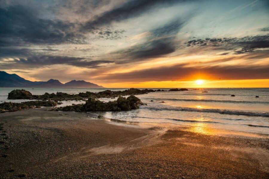 From Christchurch: Kaikura Day Tour With Whale Watching - What to Expect on This Day Trip
