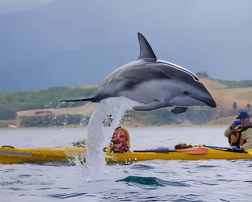 From Christchurch: Private Kaikoura Tour with Guide - Who Will Love This Tour?